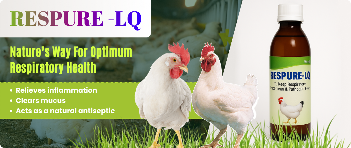 Products - Samaqurovet