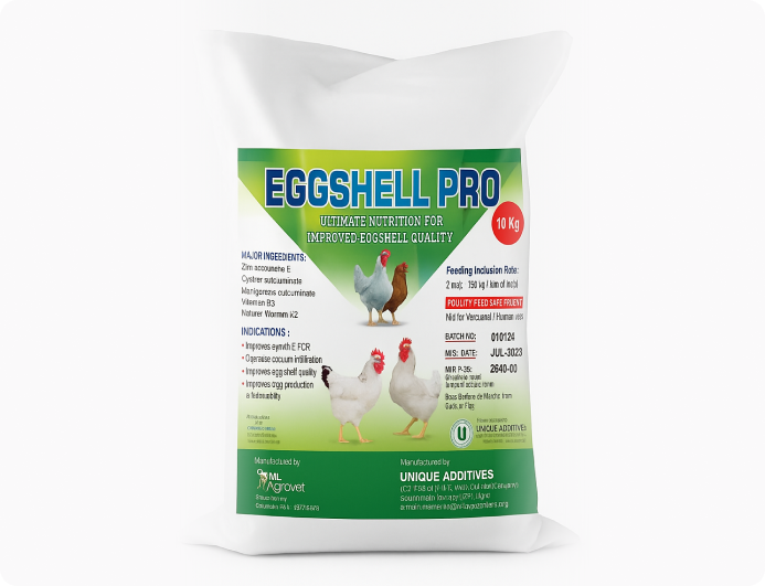 Eggshell-Pro - Samaqurovet
