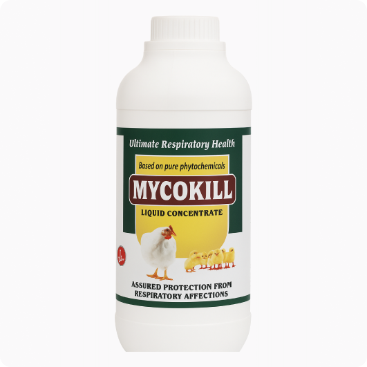 Mycokill - Samaqurovet